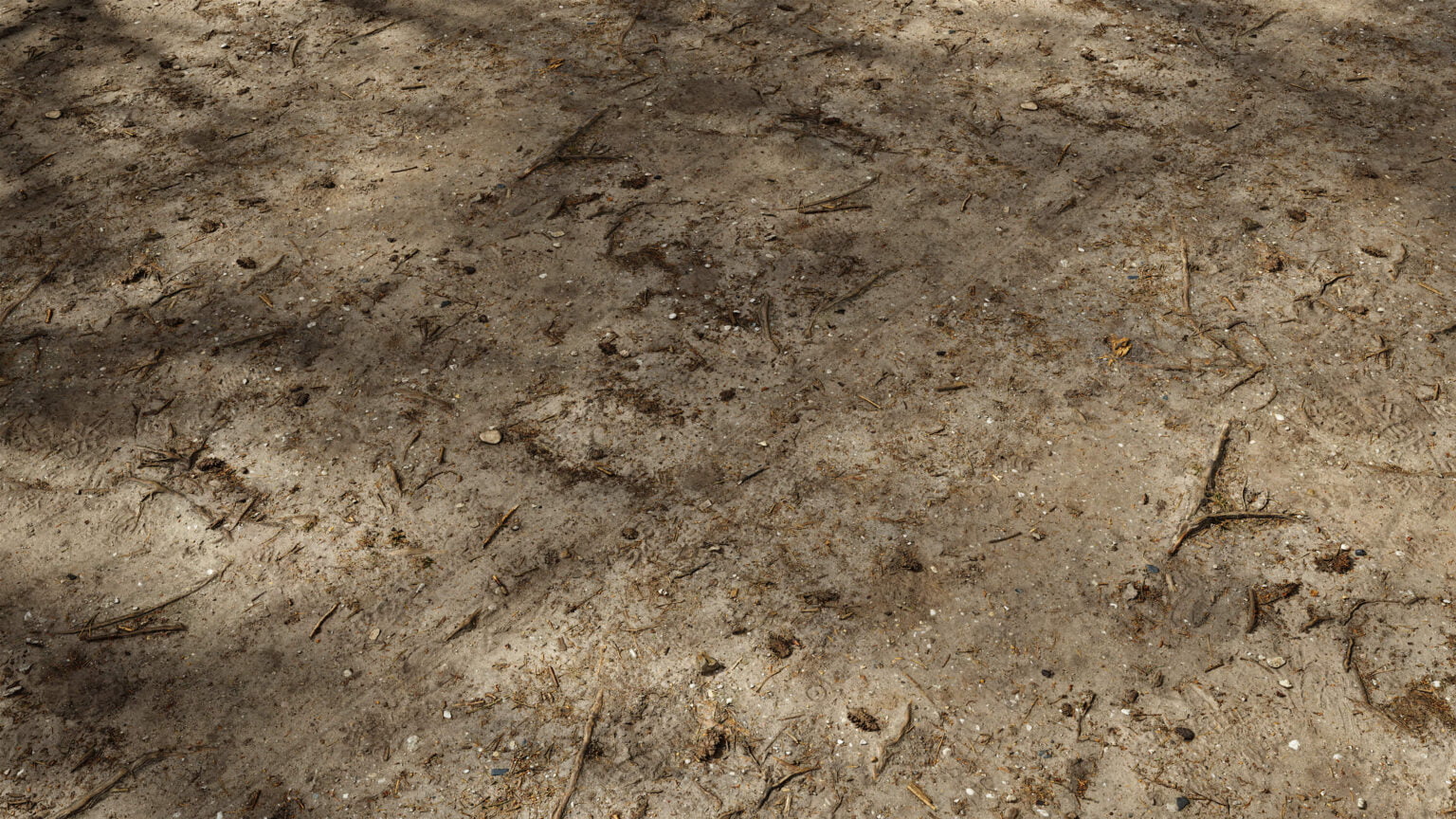 Seamless Forest Floor Texture | Materials of the World