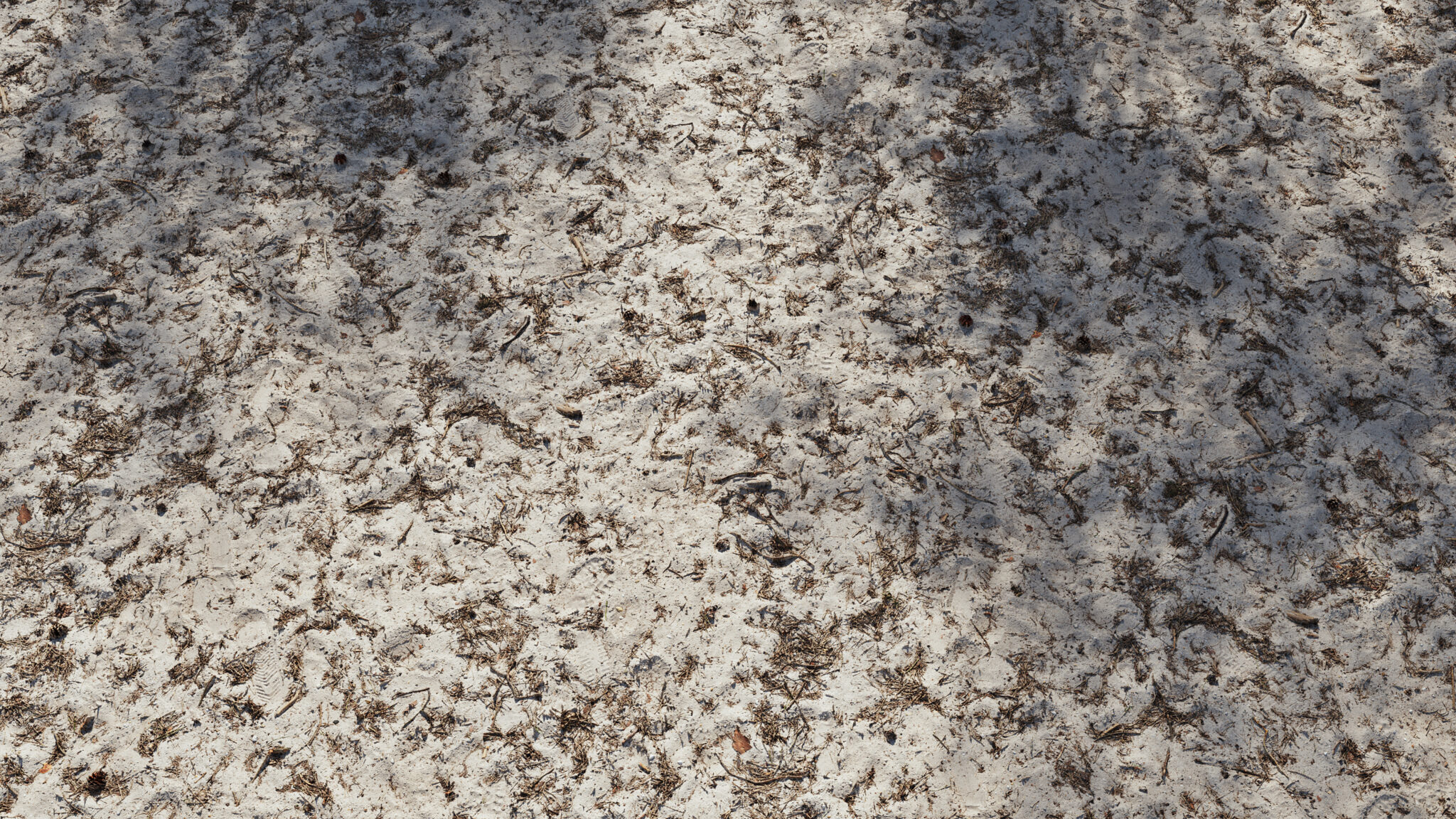 Seamless Trampled Soil Texture | Materials of the World